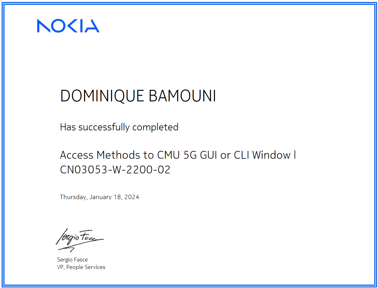 BAMOUNI Dominique's CV