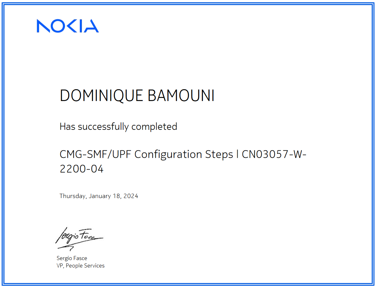 BAMOUNI Dominique's CV