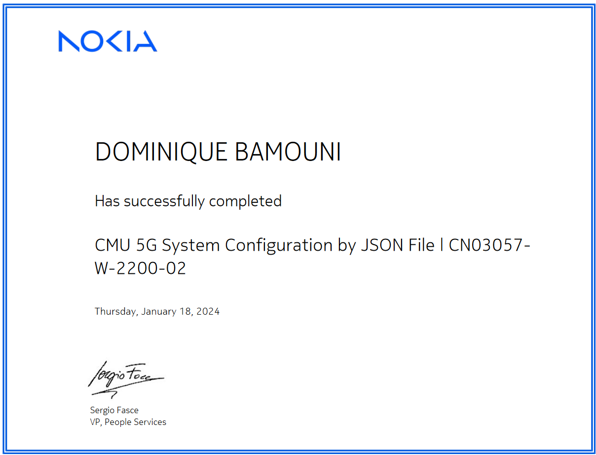 BAMOUNI Dominique's CV