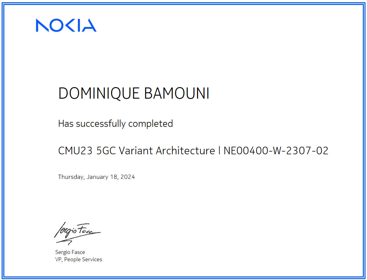 BAMOUNI Dominique's CV