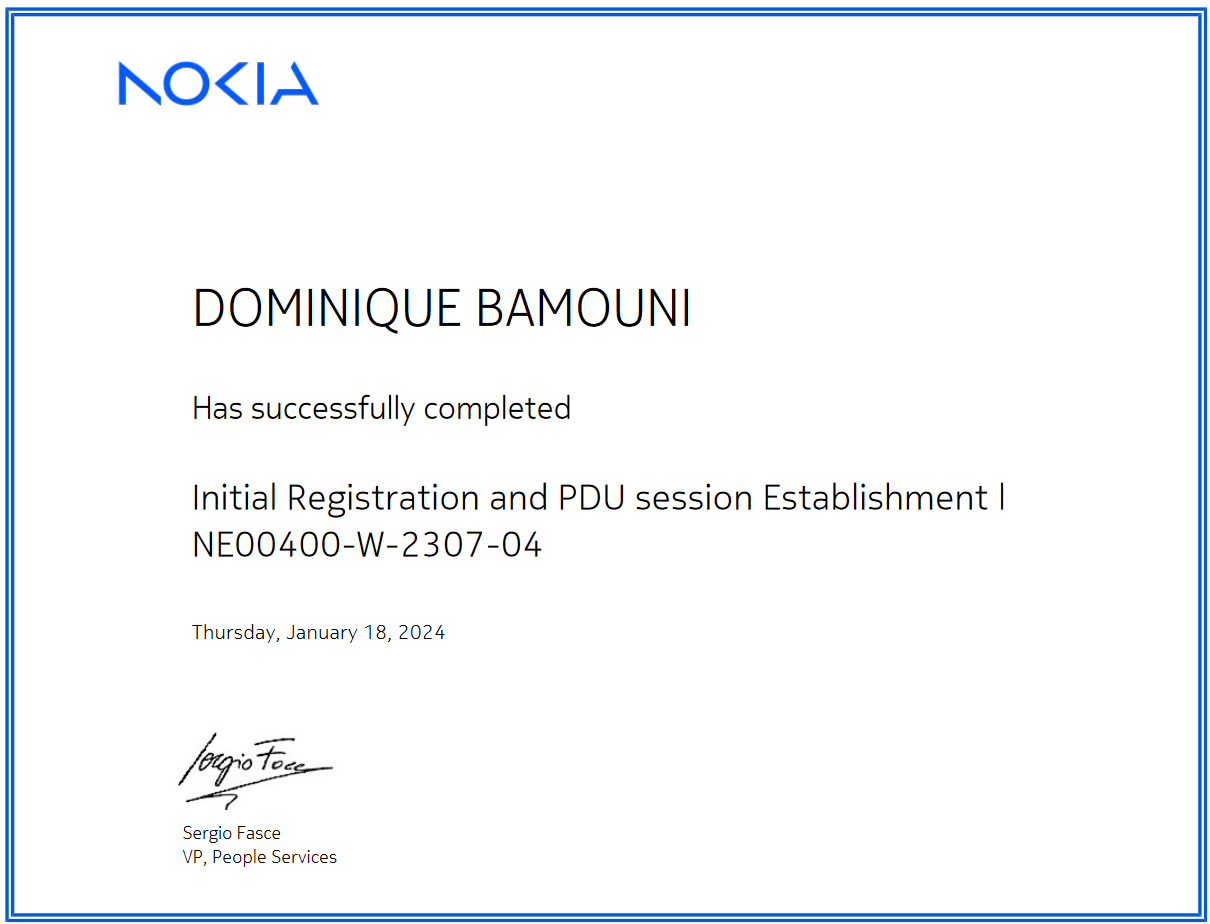 BAMOUNI Dominique's CV